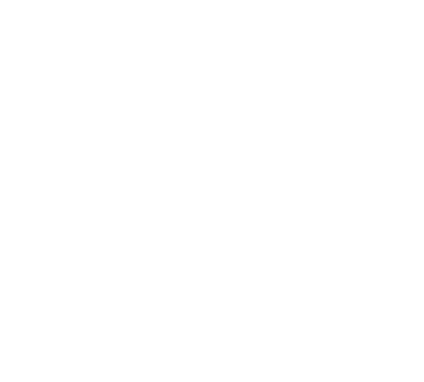 Global Public Investor report launch 2025 - OMFIF