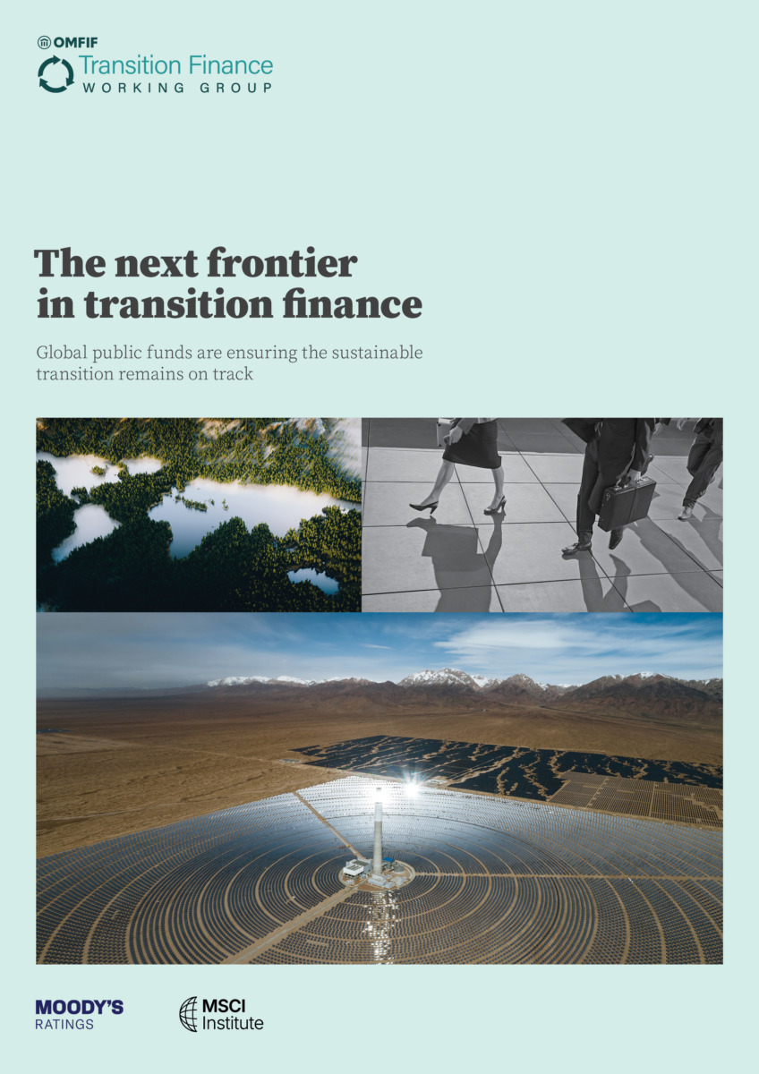 Transition Finance Working Group launch event 2025 - OMFIF