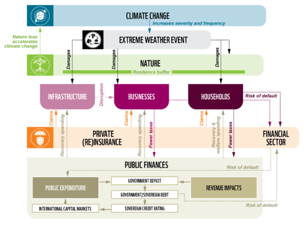 The insurance protection gap: a growing risk to financial stability - OMFIF